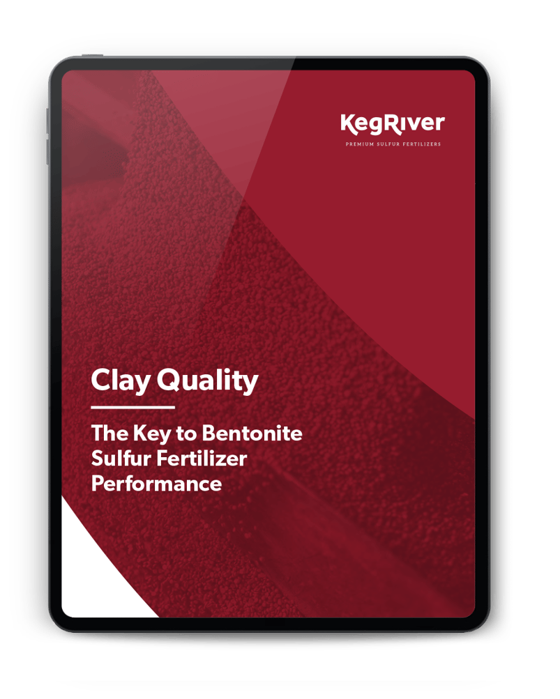 Clay Quality: The Key to Bentonite Sulfur Fertilizer | Keg River